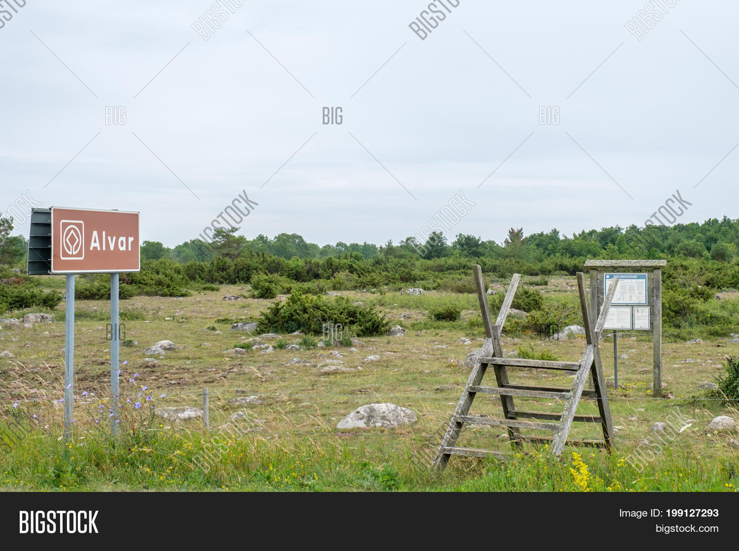 Stora Alvaret Great Image & Photo (Free Trial) | Bigstock