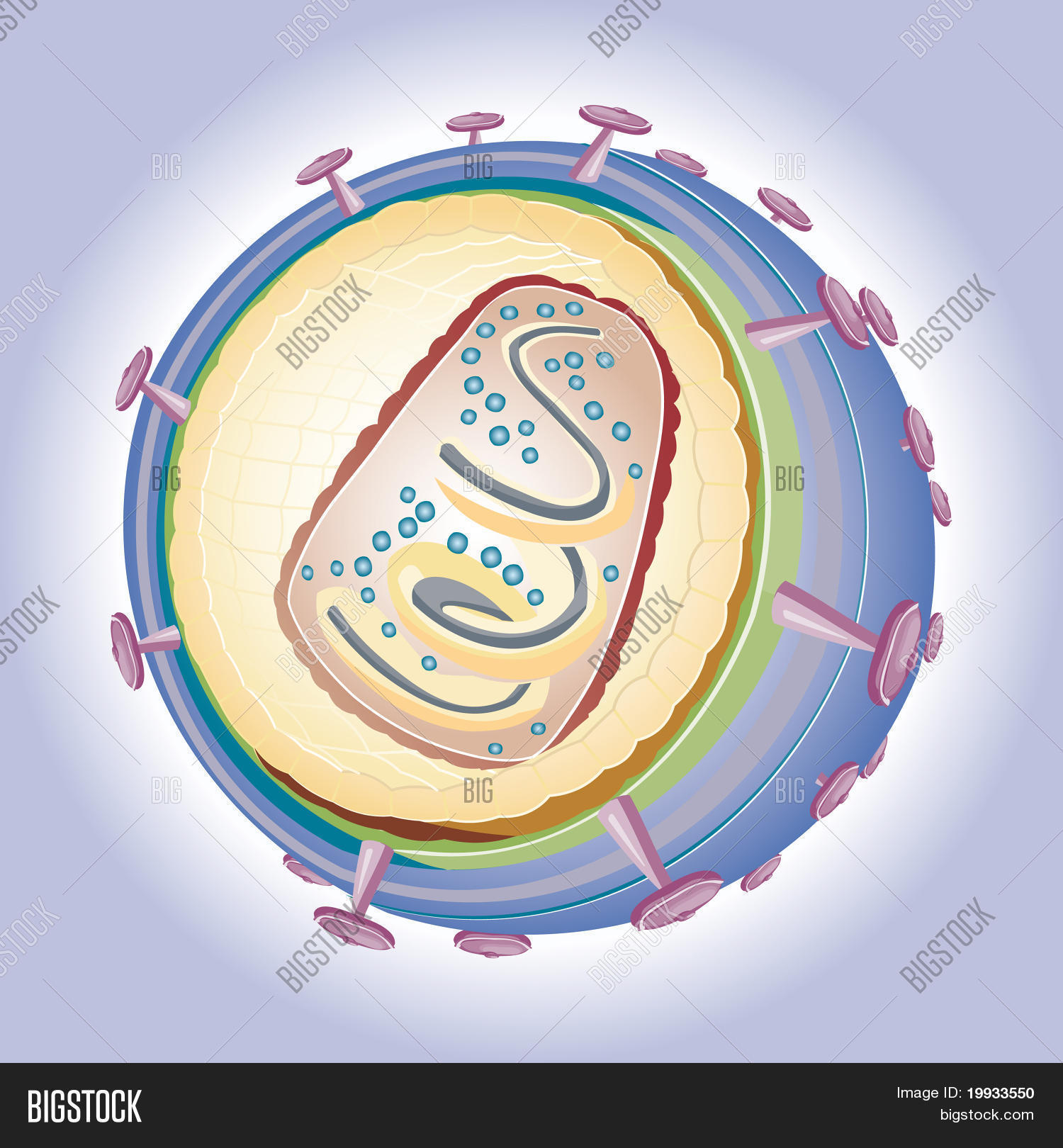 Illustration HIV - Vector & Photo (Free Trial) | Bigstock