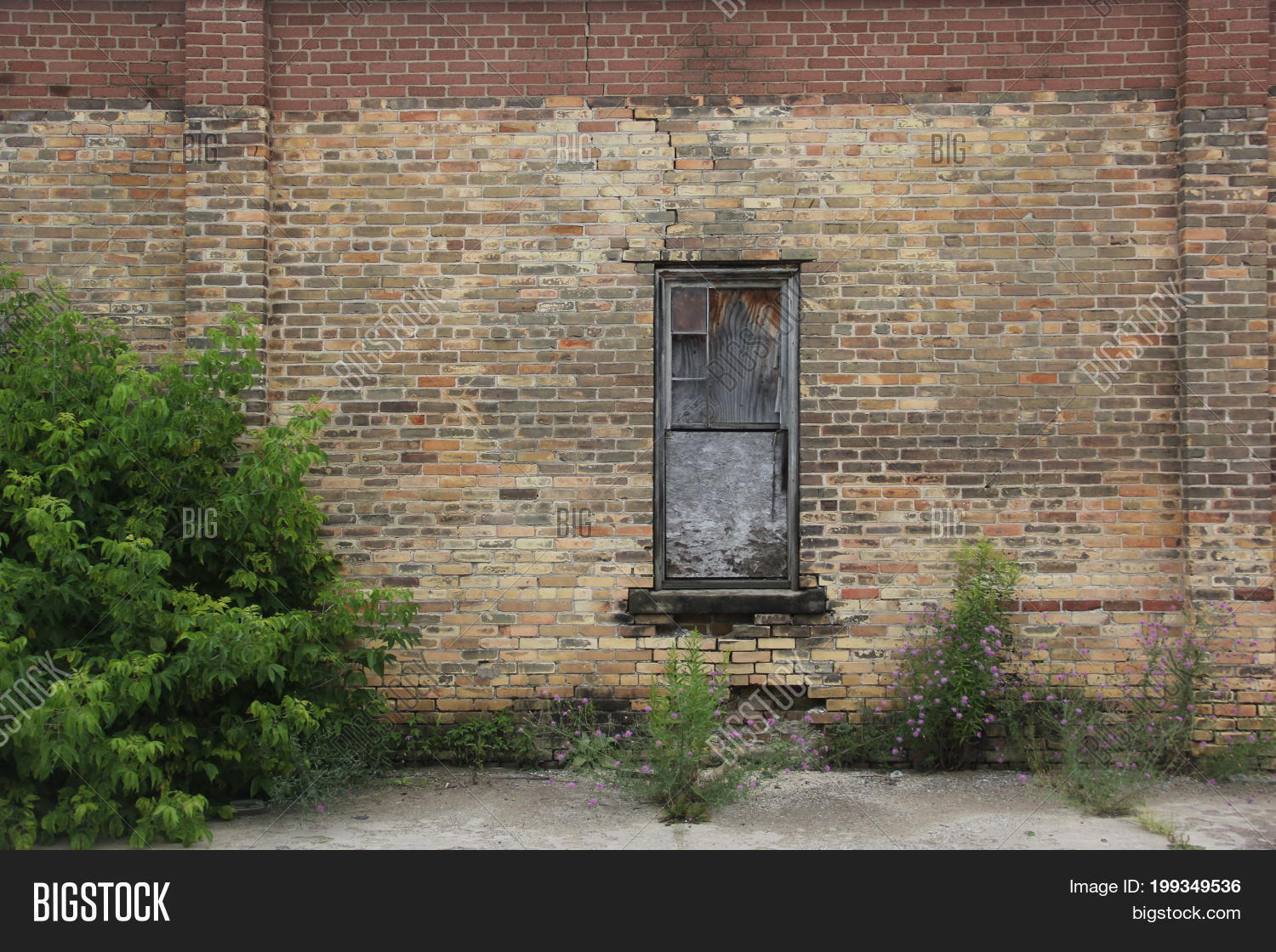 Brick Wall Urban Decay Image & Photo (Free Trial) | Bigstock