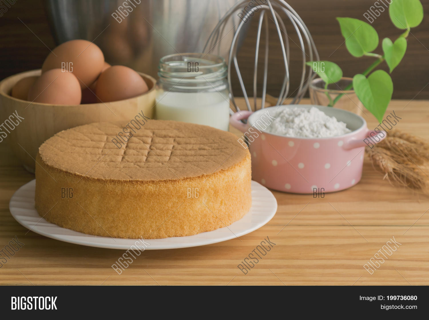 Homemade Sponge Cake Image & Photo (Free Trial) | Bigstock