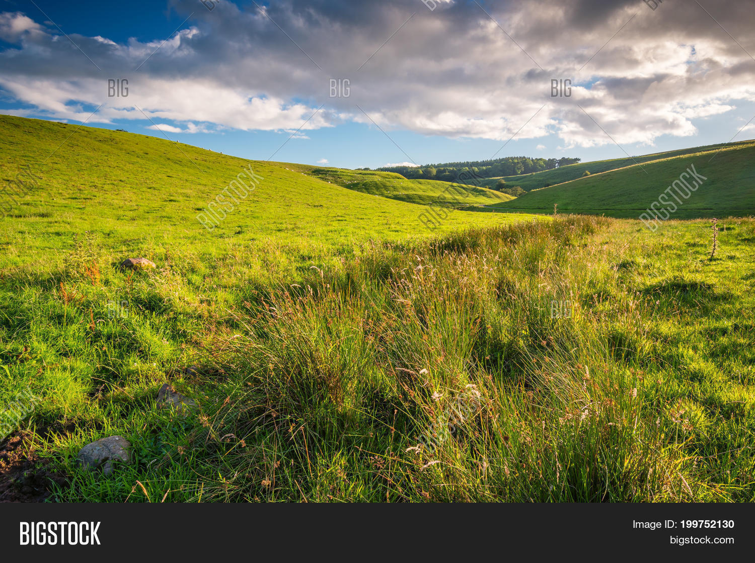 Source River Aln, Image & Photo (Free Trial) | Bigstock