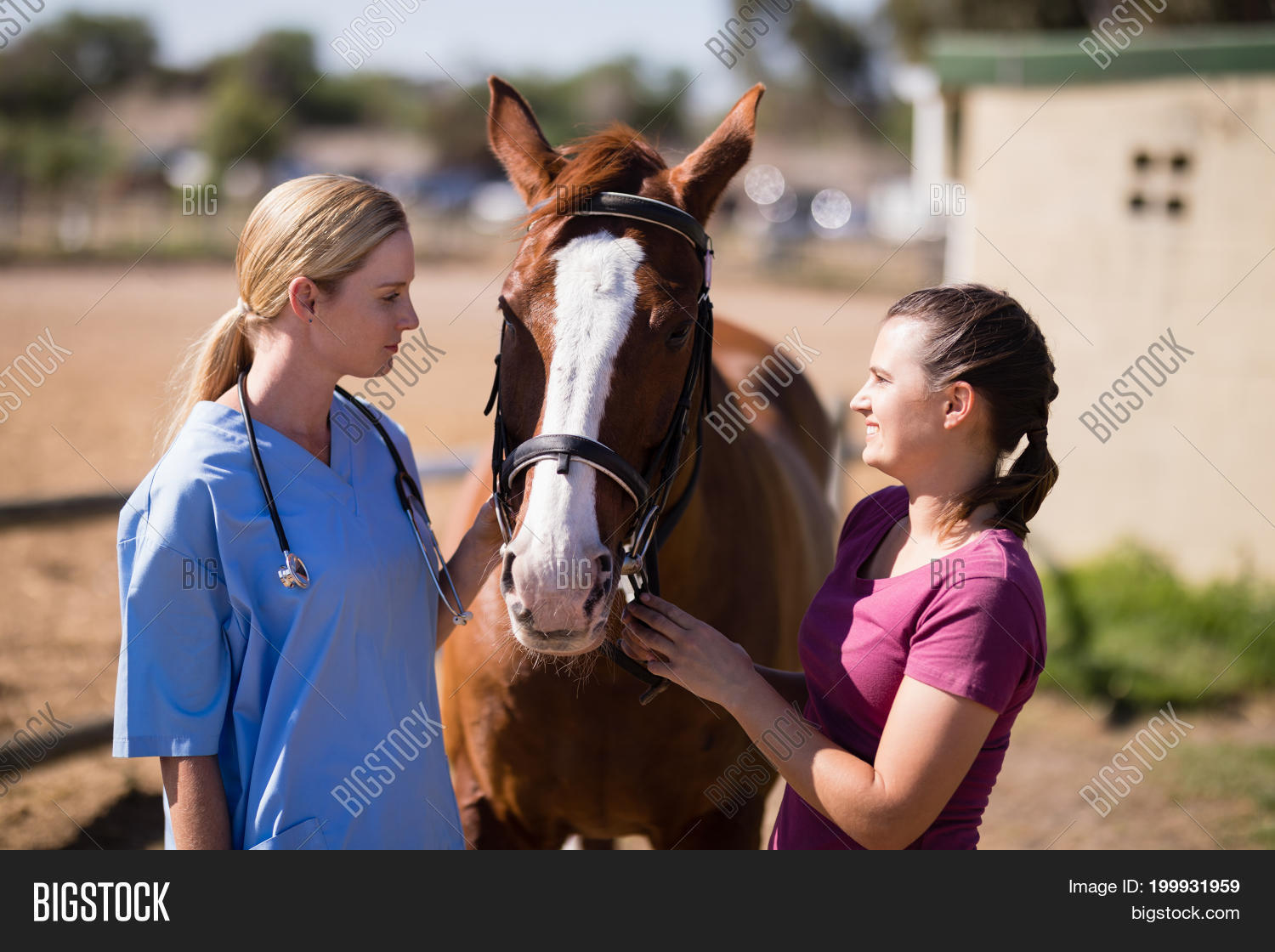 Female Vet Woman Image & Photo (Free Trial) | Bigstock