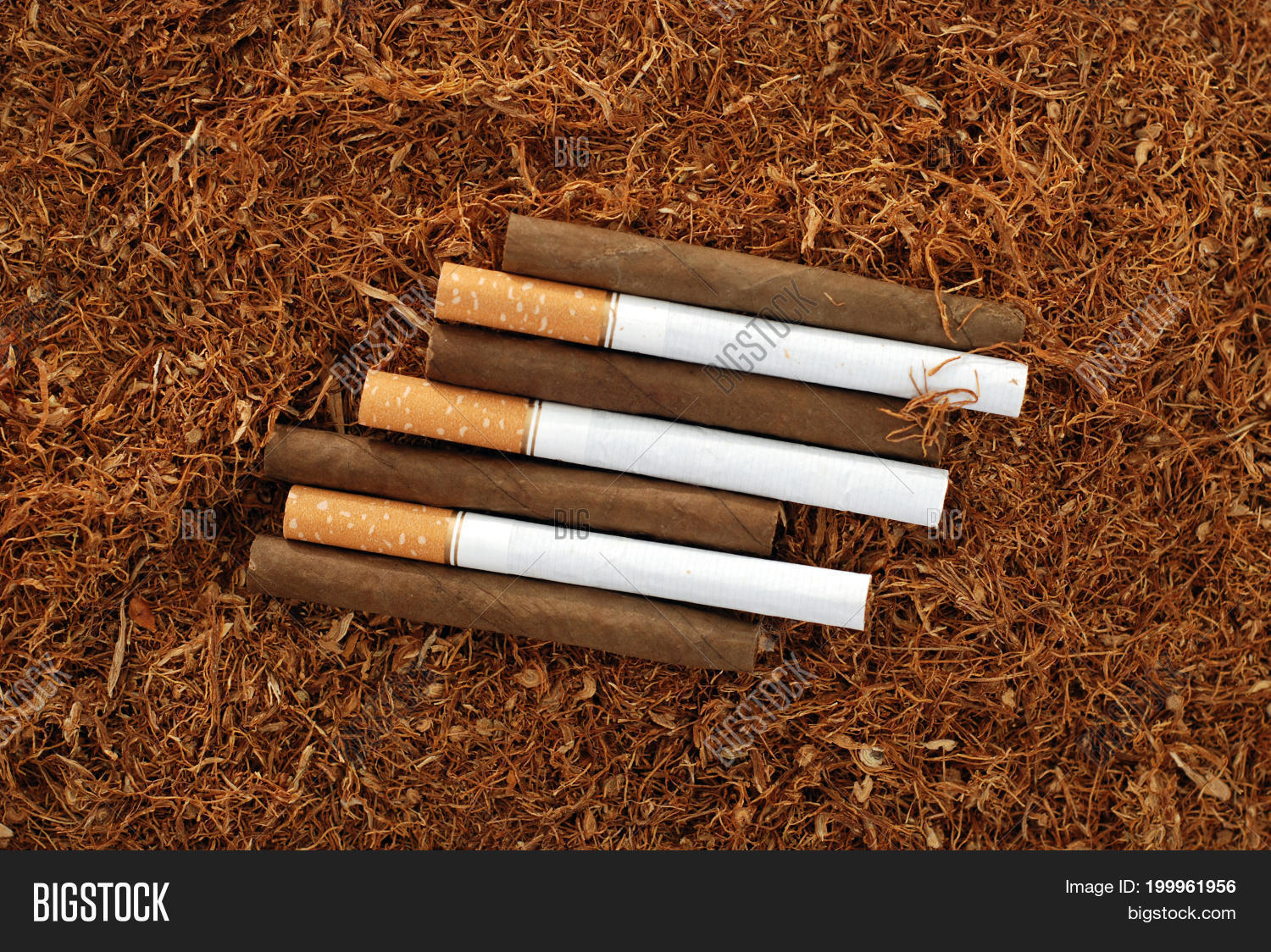 Tobacco,cigarillo , Image & Photo (Free Trial) | Bigstock