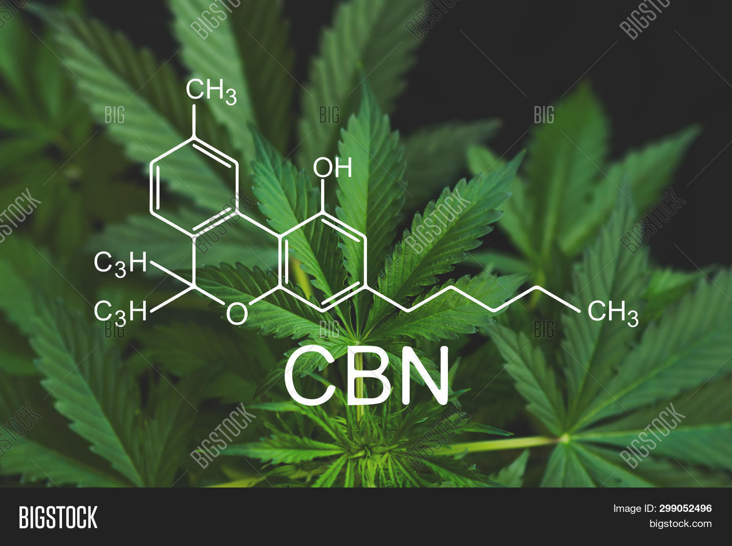 Cbn Formula, Image & Photo (Free Trial) | Bigstock