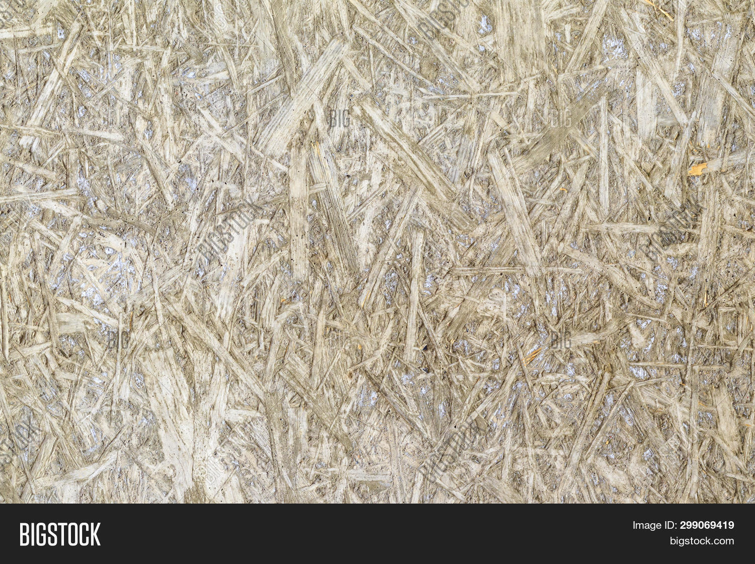 Texture. Imprint On Image & Photo (Free Trial) | Bigstock