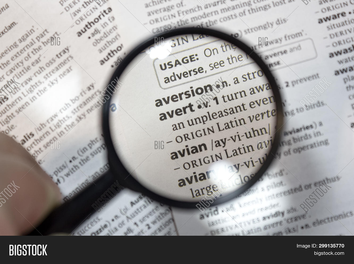 Word Phrase Avert Image & Photo (Free Trial) | Bigstock