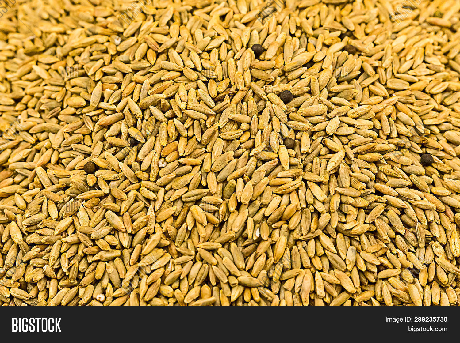 Grain Background Light Image & Photo (Free Trial) | Bigstock