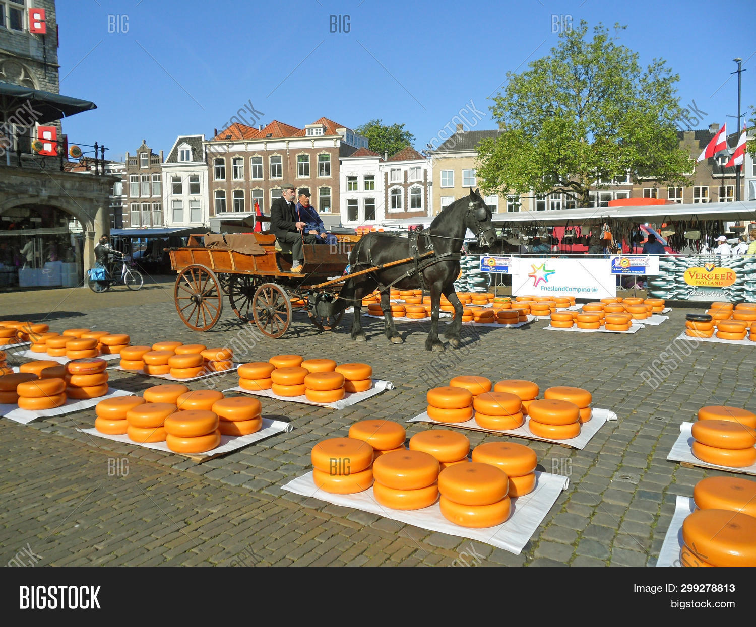 Wheels Gouda Cheese Image & Photo (Free Trial) | Bigstock