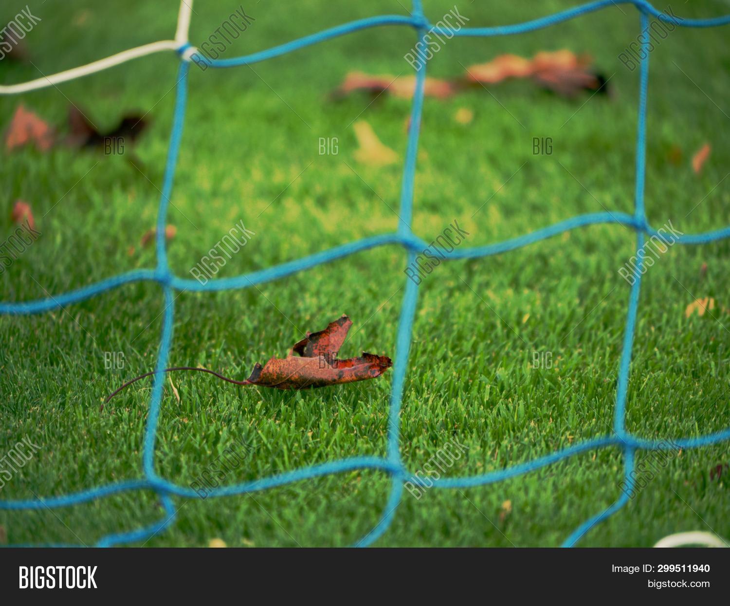 Messy Soccer Field. Image & Photo (Free Trial) | Bigstock