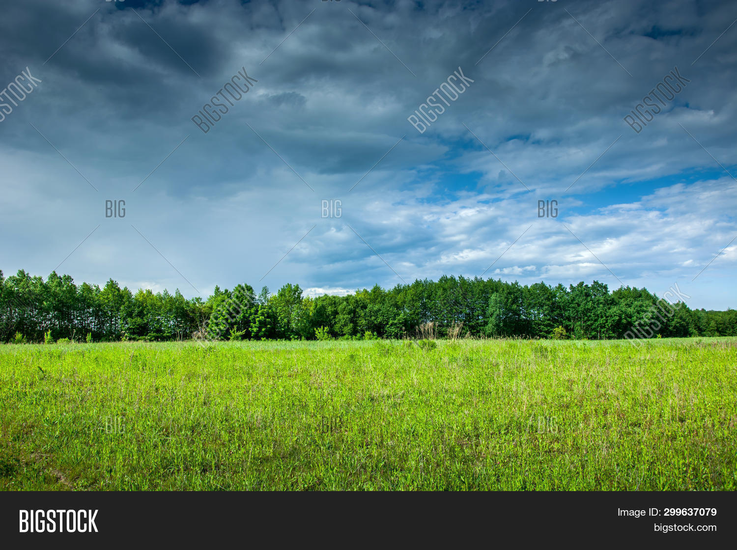 Green Field, Trees Image & Photo (Free Trial) | Bigstock