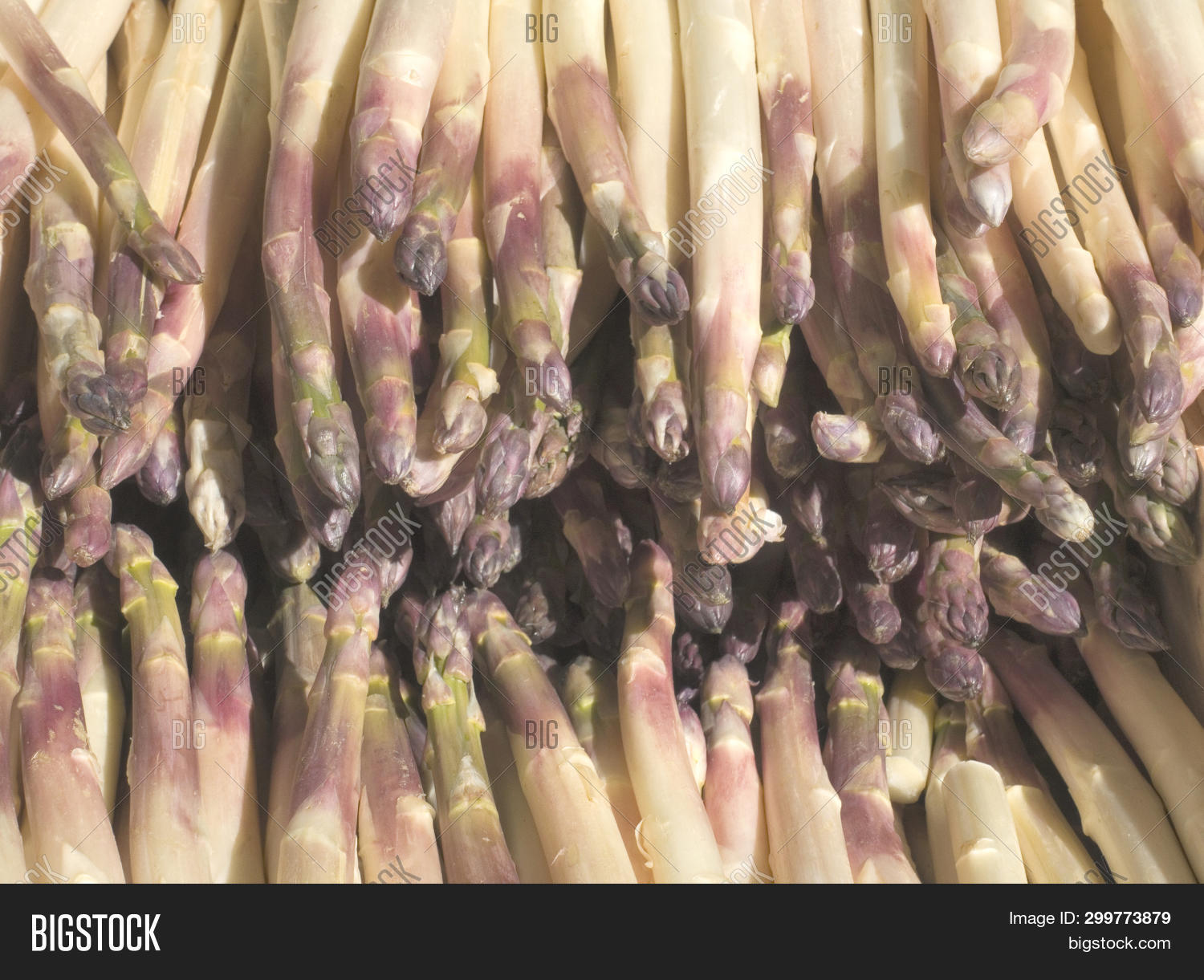 White Asparagus Image & Photo (Free Trial) | Bigstock