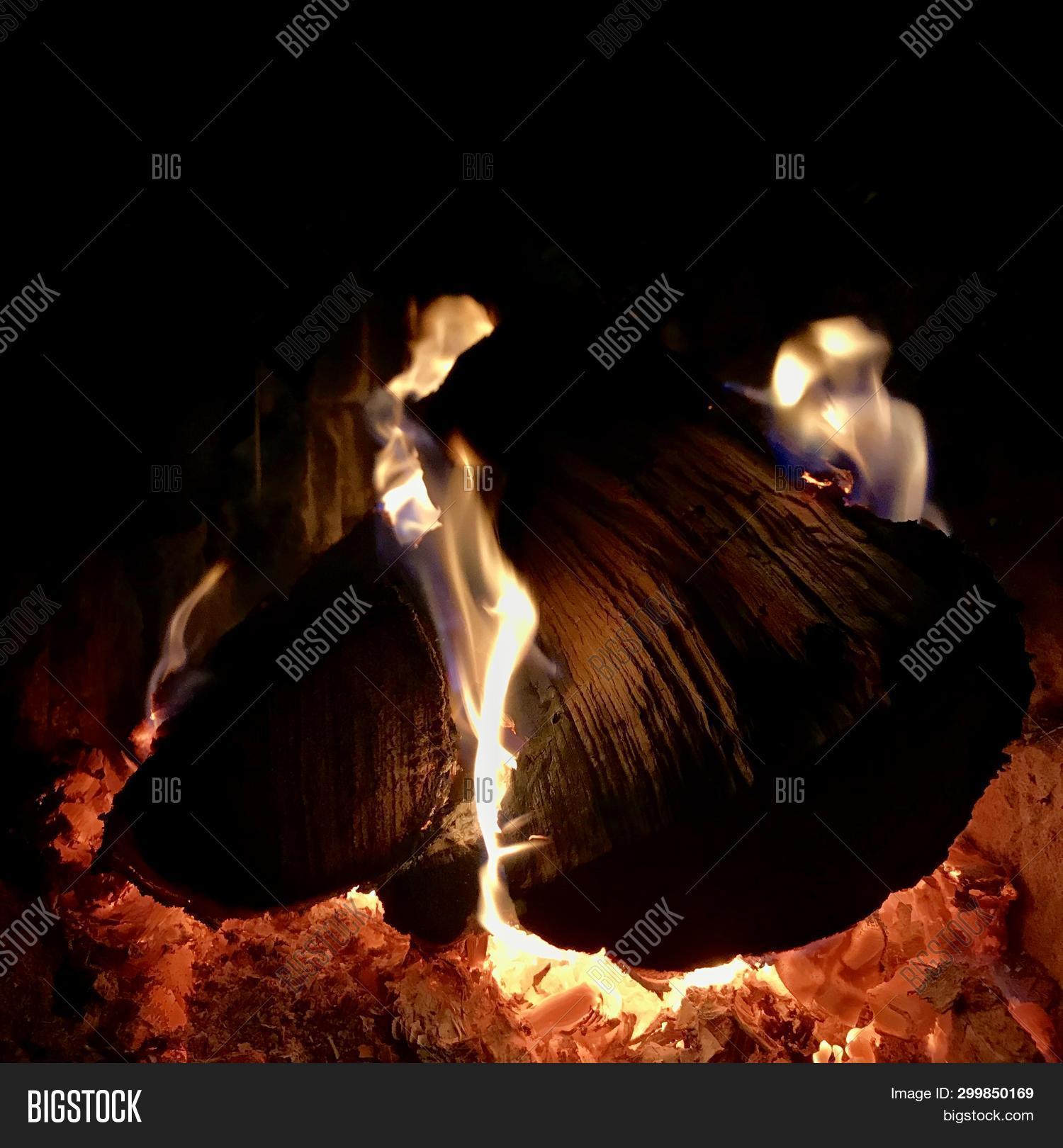 Beautiful Flame Brown Image & Photo (Free Trial) | Bigstock