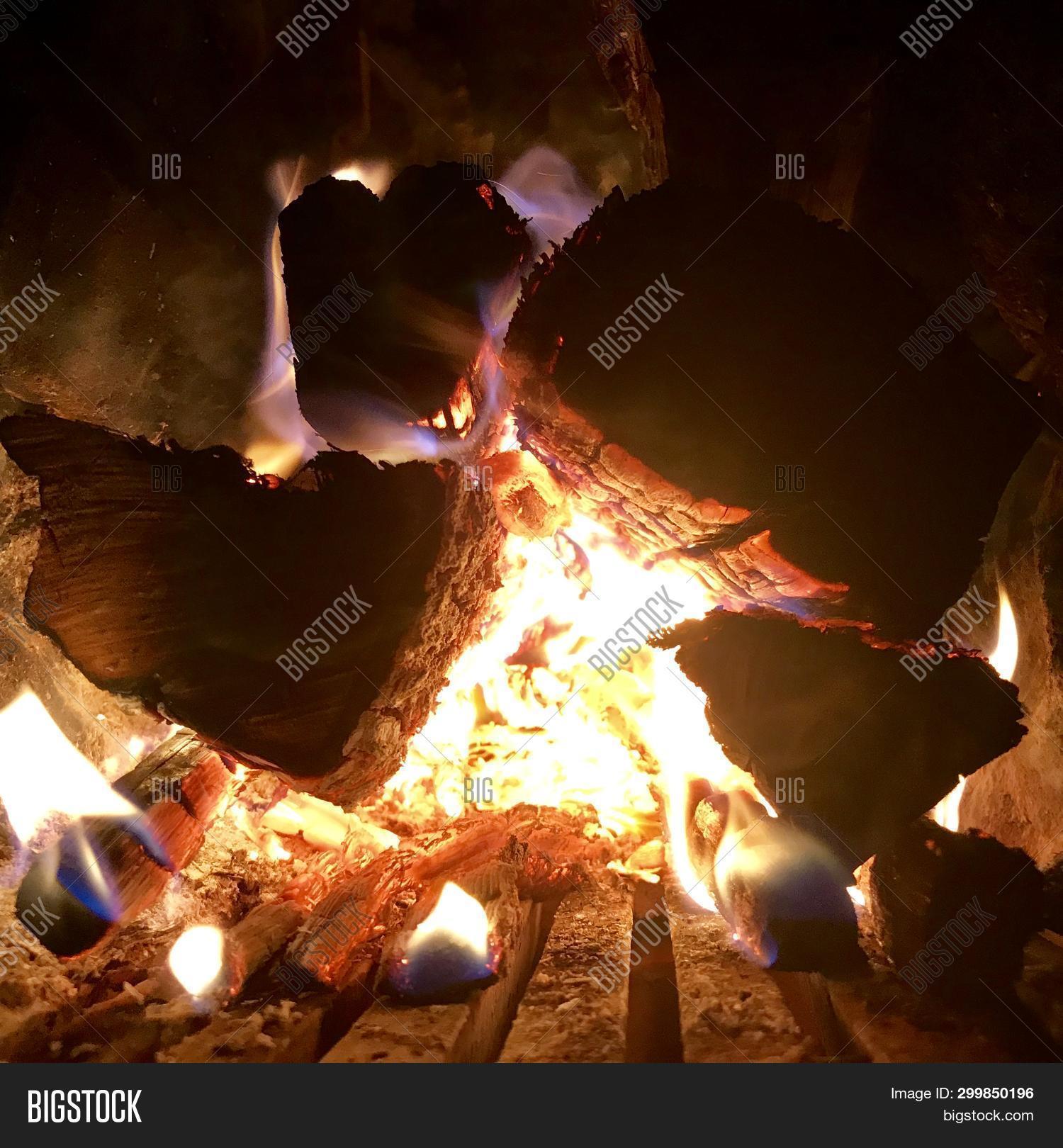 Beautiful Flame Brown Image & Photo (Free Trial) | Bigstock