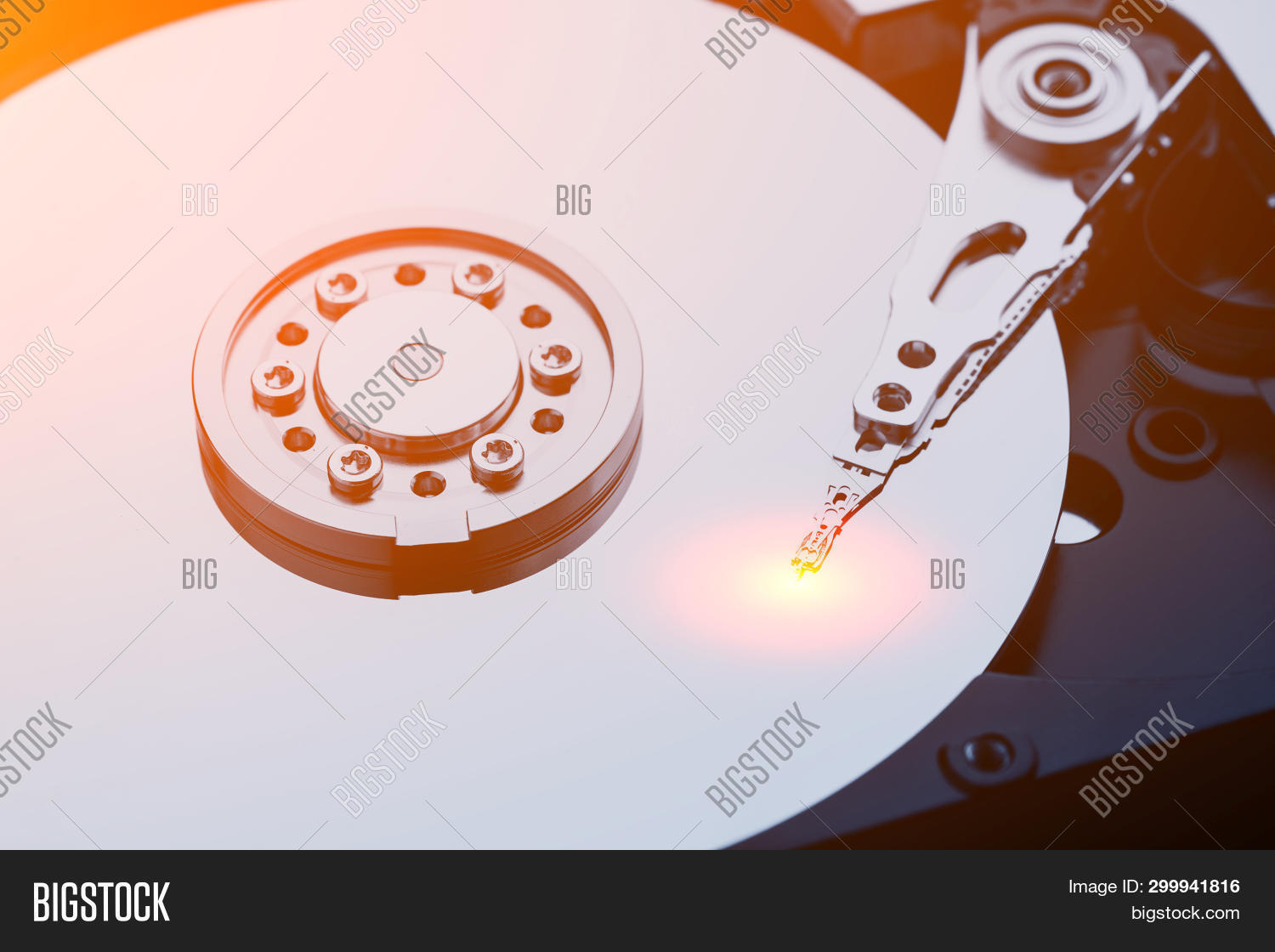 Closeup Macro Photo Image & Photo (Free Trial) | Bigstock