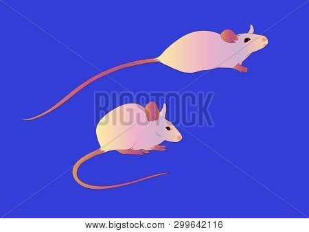 Cute Mouse Cartoon Vector & Photo (Free Trial) | Bigstock