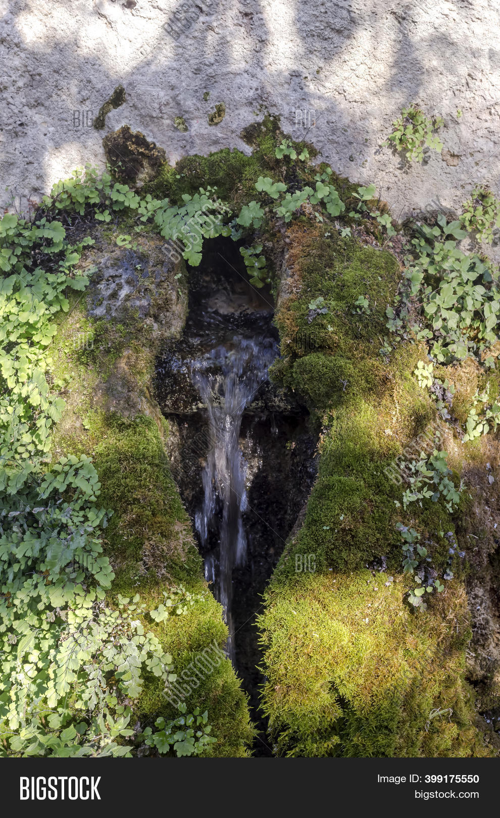 Stone Spring Close- Image & Photo (Free Trial) | Bigstock