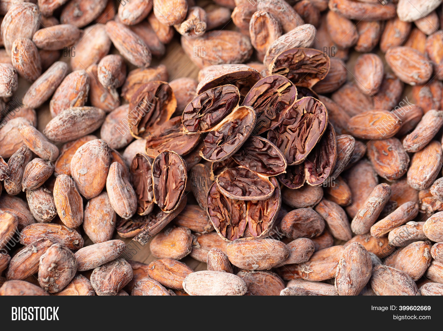 Cacao Beans Cut Test Image & Photo (Free Trial) | Bigstock