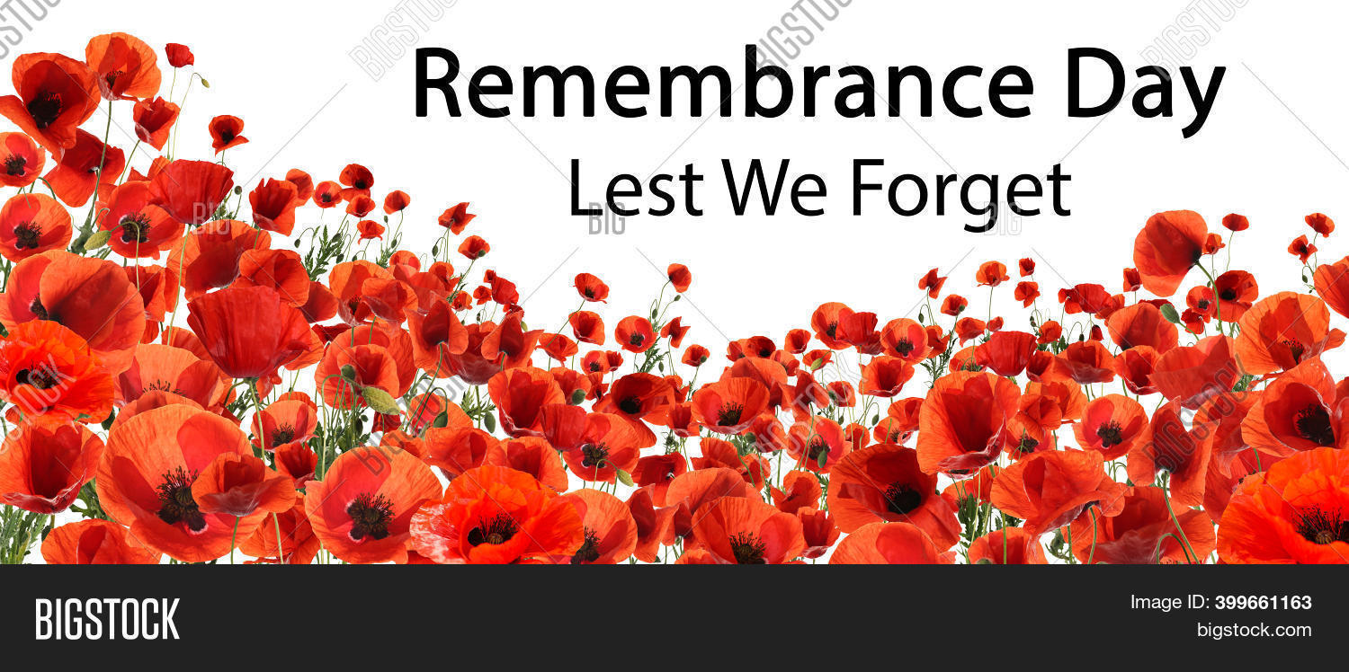 Remembrance Day Banner Image & Photo (Free Trial) | Bigstock