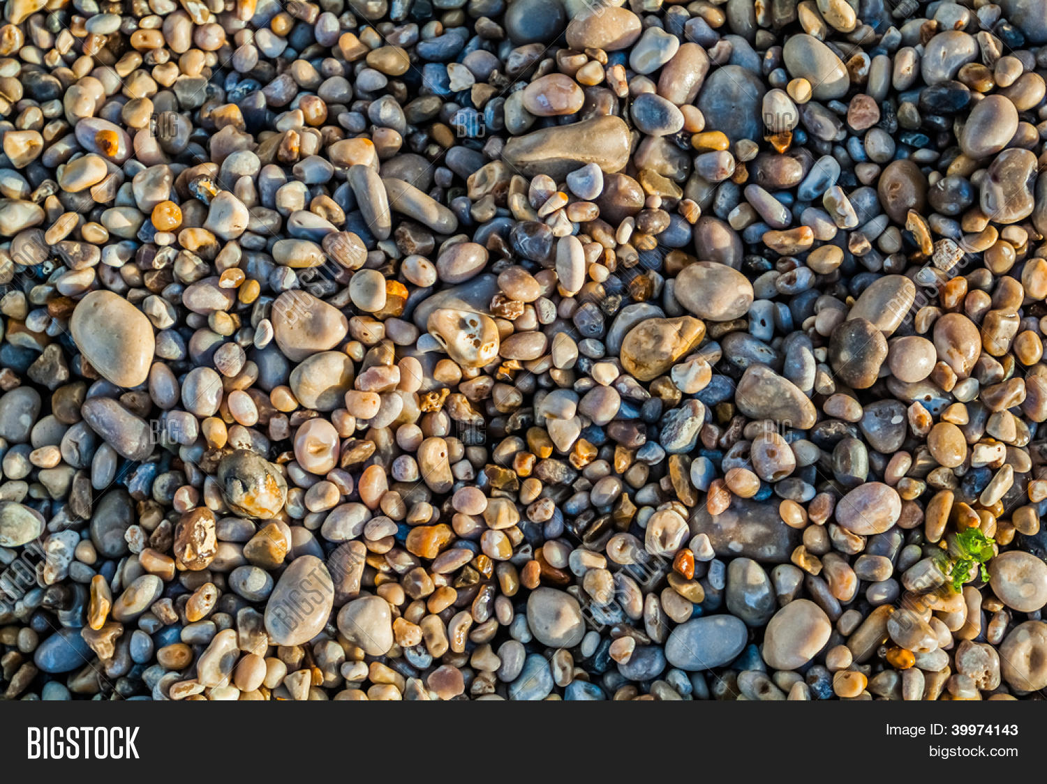 Beautiful Pebbles Image & Photo (Free Trial) | Bigstock