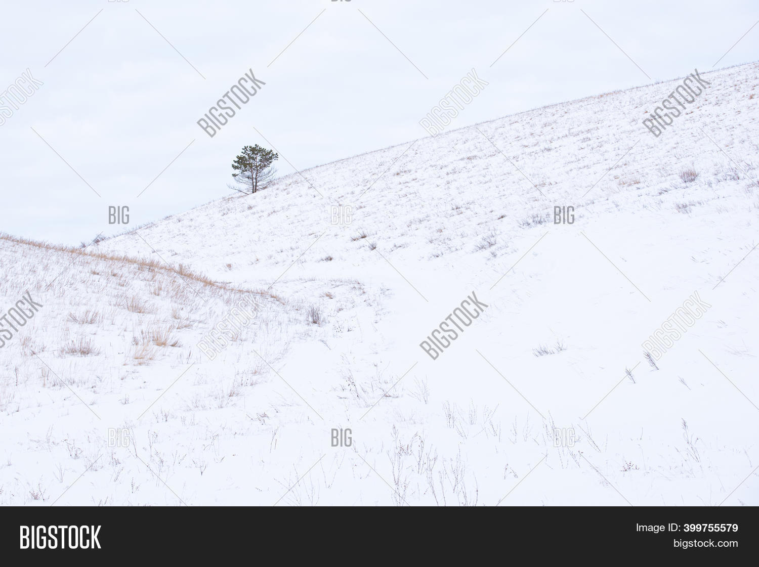 Winter Rural Icy Snowy Image & Photo (Free Trial) | Bigstock