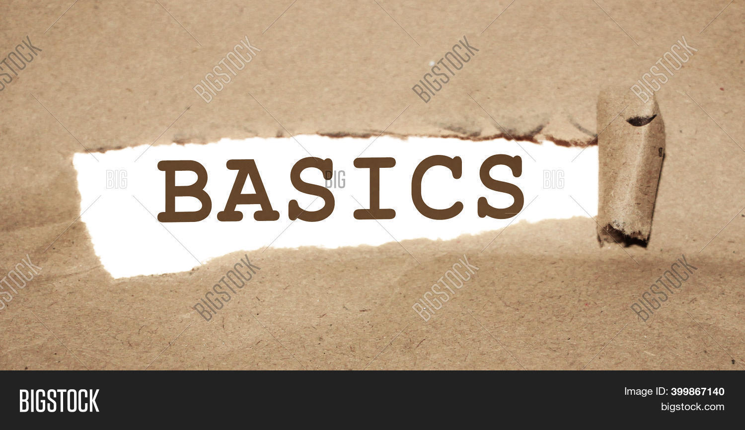 Word Basics Appearing Image & Photo (Free Trial) | Bigstock