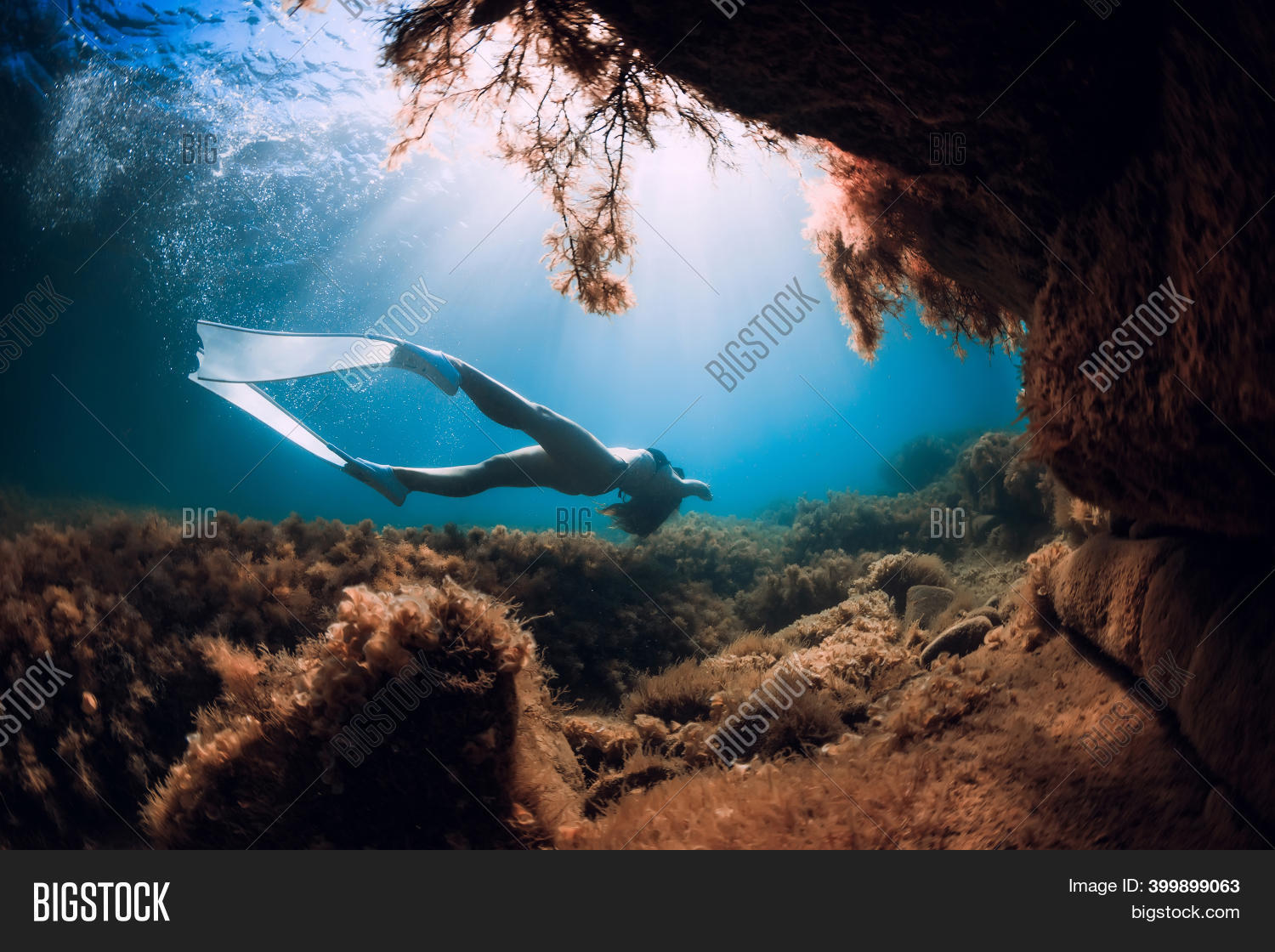 Young Woman Freediver Image & Photo (Free Trial) | Bigstock