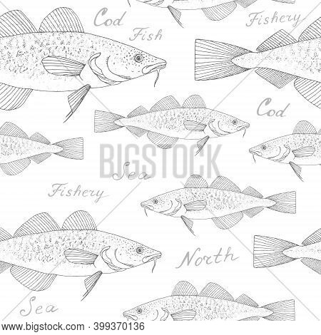 Cod. Black Hand Drawn Vector & Photo (Free Trial) | Bigstock