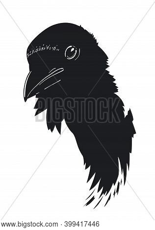 Raven Head Silhouette