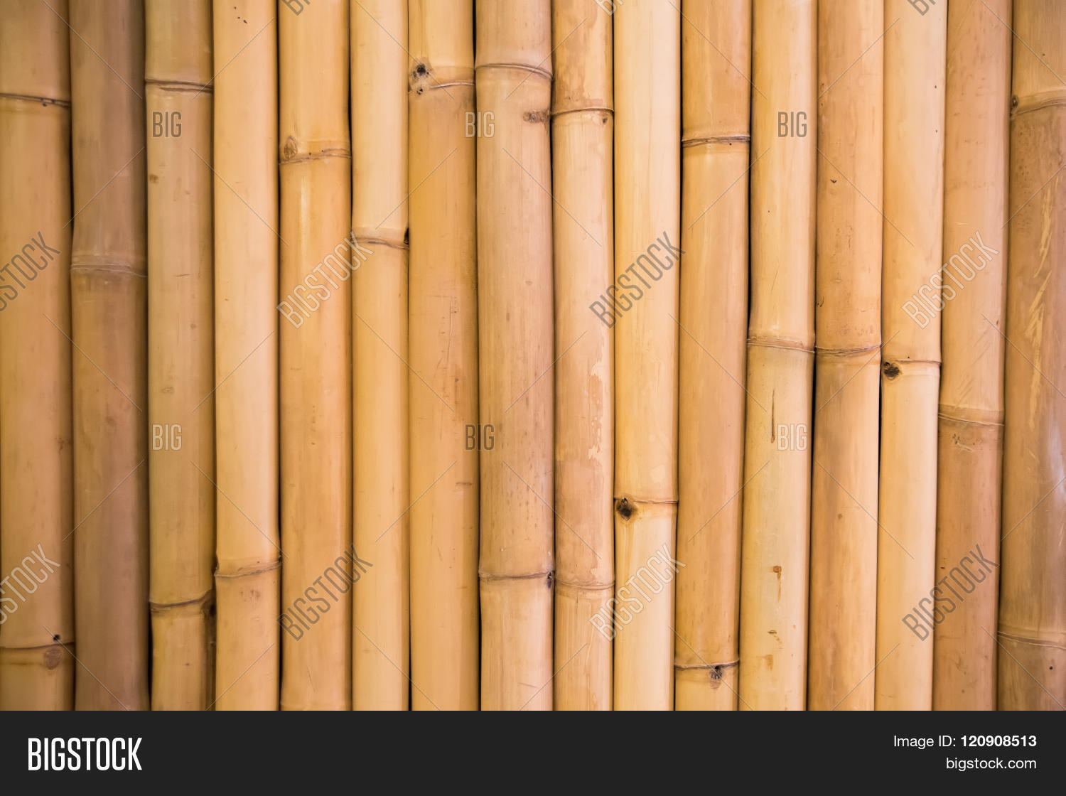 Brown Bamboo Background Image & Photo | Bigstock