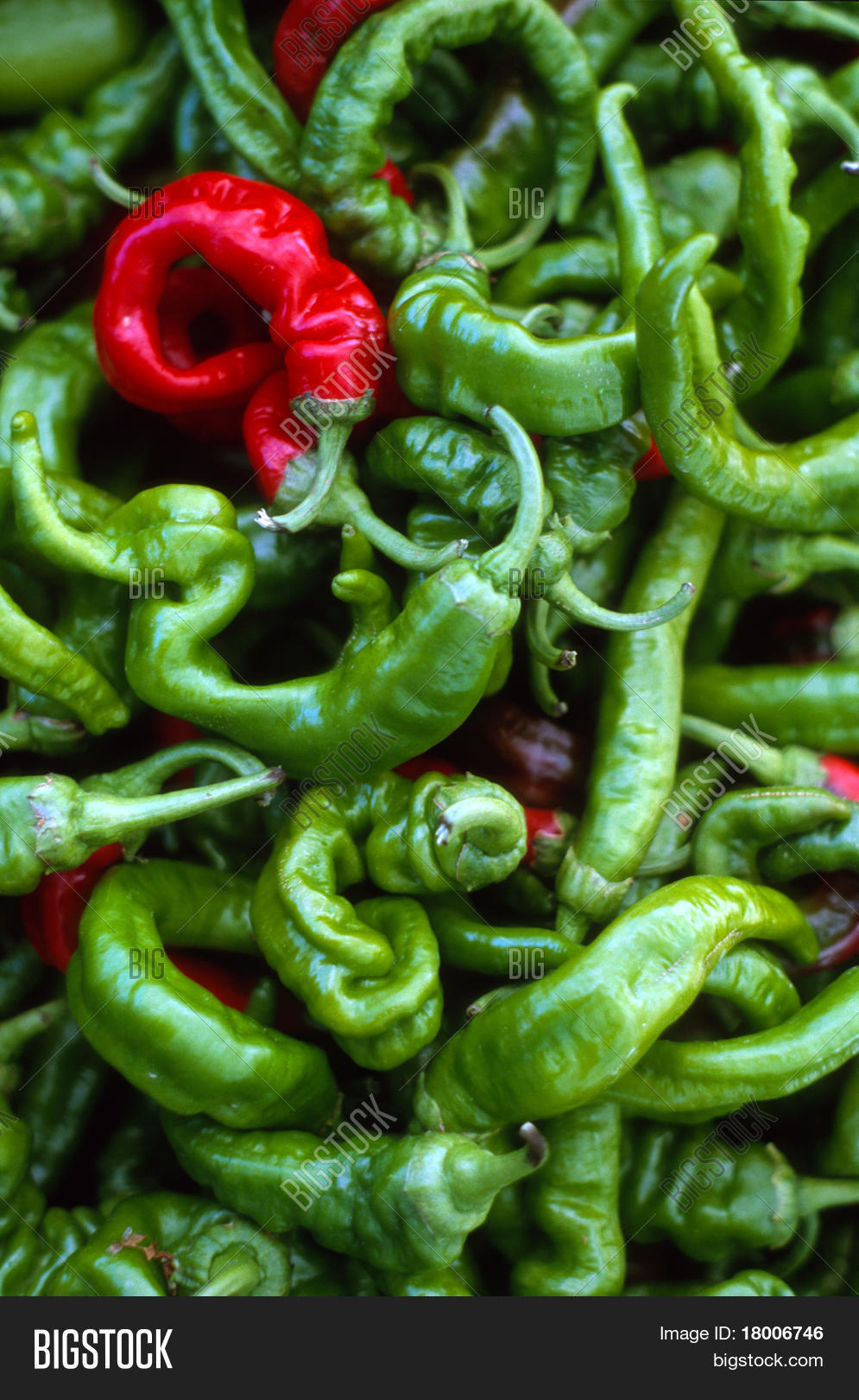 Curly Chili Peppers, One Red Stock Photo & Stock Images | Bigstock