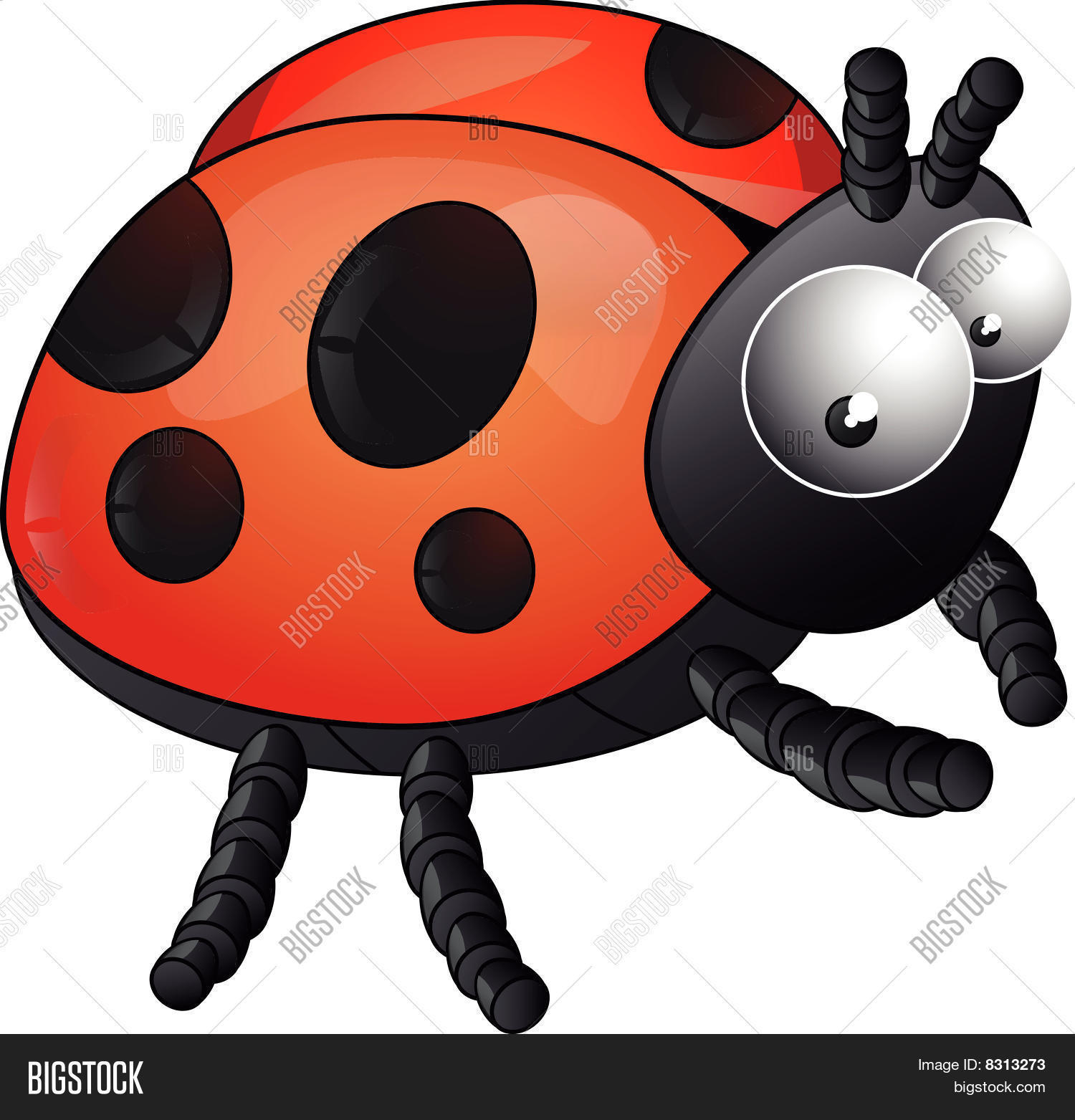 Cartoon Ladybird Stock Vector & Stock Photos | Bigstock