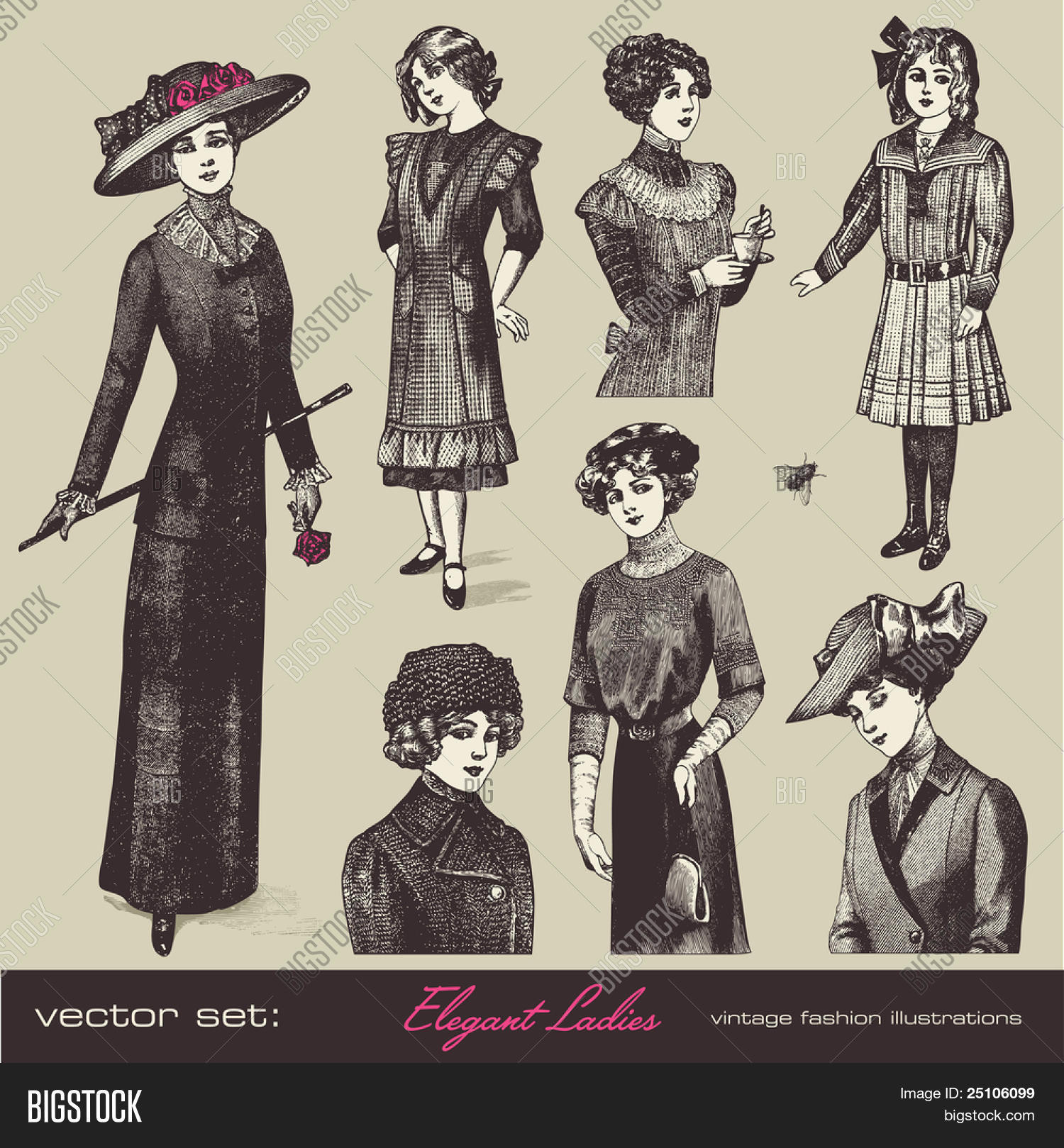 Vector Set: Elegant Vintage Ladies Vector & Photo | Bigstock