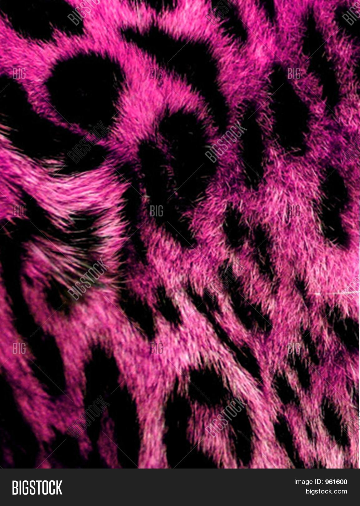Hot Pink Leopard Texture Background Image & Photo | Bigstock