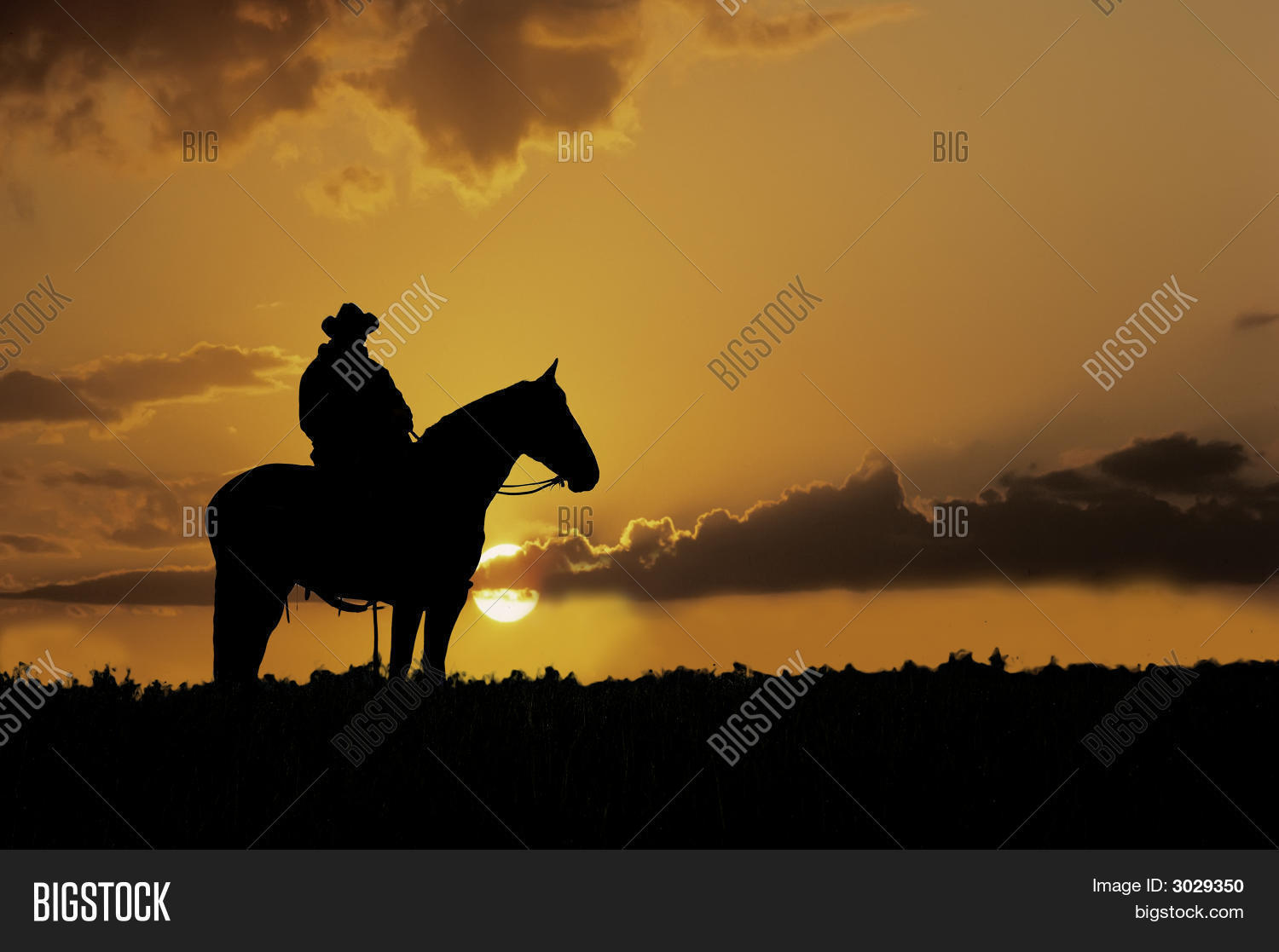 Cowboy Silhouette Stock Photo & Stock Images | Bigstock