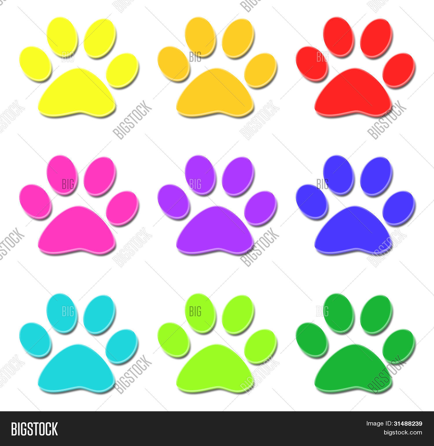 Colored Paw Print Image & Photo | Bigstock