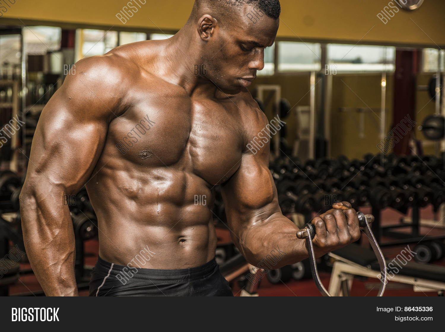Hunky Muscular Black Bodybuilder Image & Photo | Bigstock