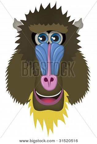 Mandrill Vector Cartoon Image & Photo | Bigstock