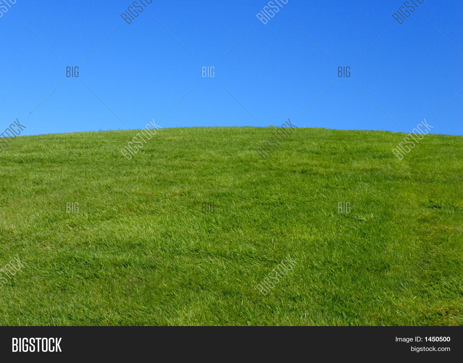 Grassy Hill Image & Photo | Bigstock