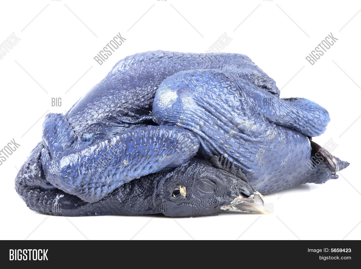 Raw Black Skin Chicken Image & Photo | Bigstock