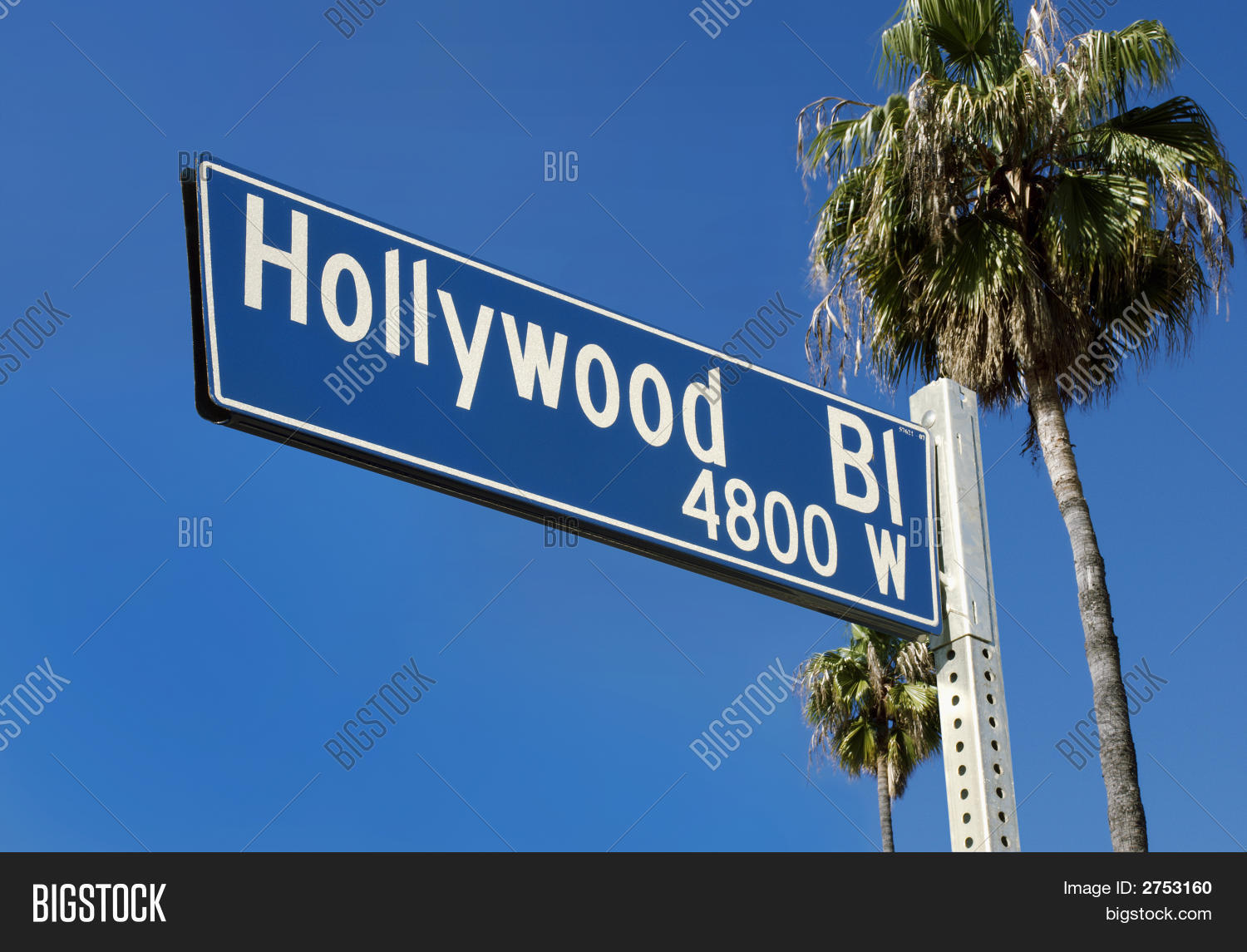 Hollywood Blvd Street Sign W/Palms Stock Photo & Stock Images | Bigstock