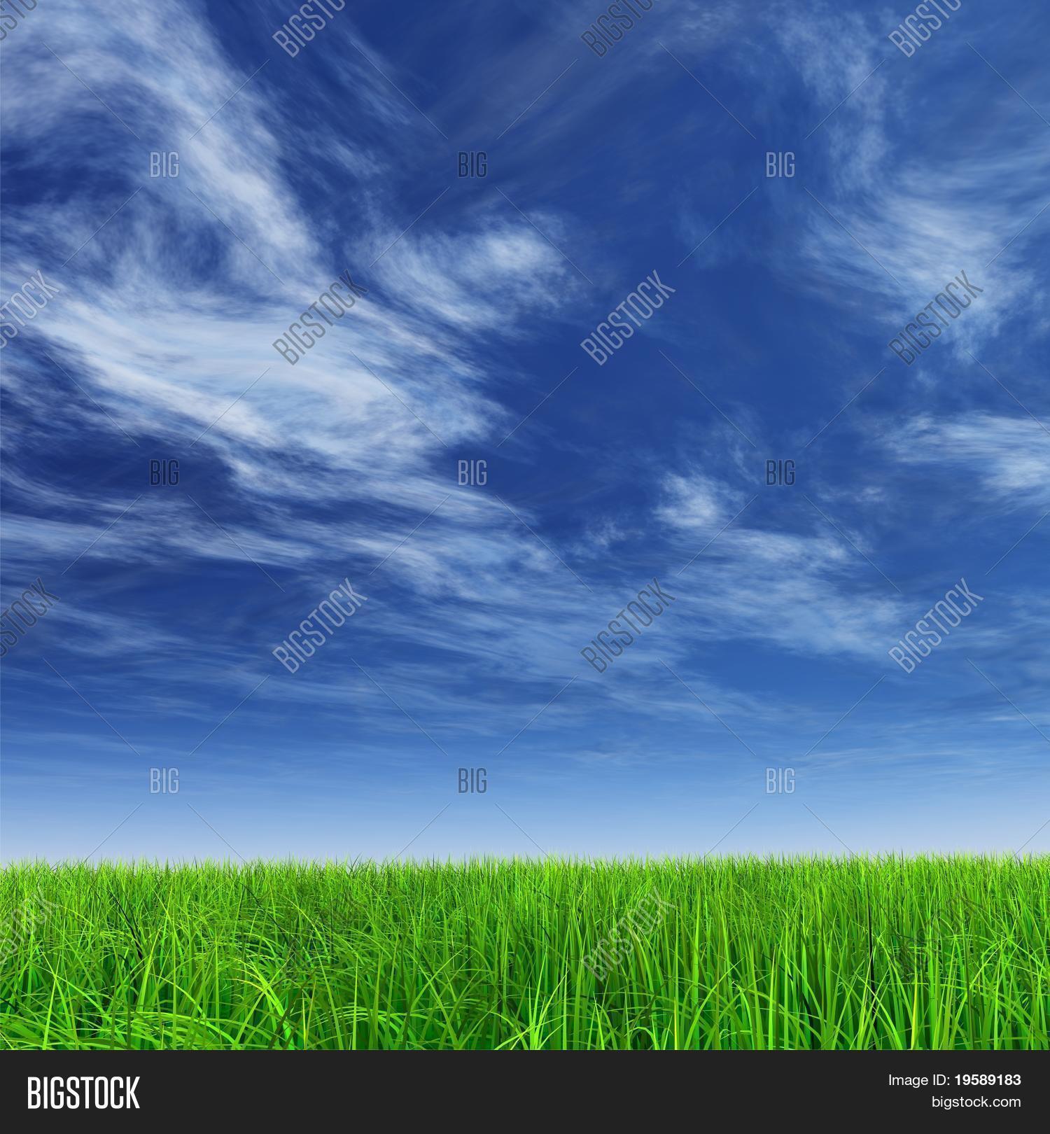 High resolution green grass over a blue sky background Stock Photo ...