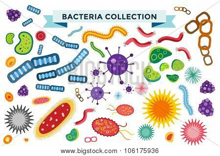 bacilli,(第19页)_大山谷图库