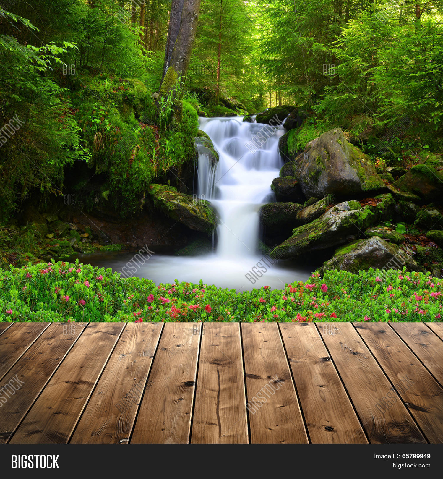 Beautiful waterfall in green forest Stock Photo & Stock Images | Bigstock