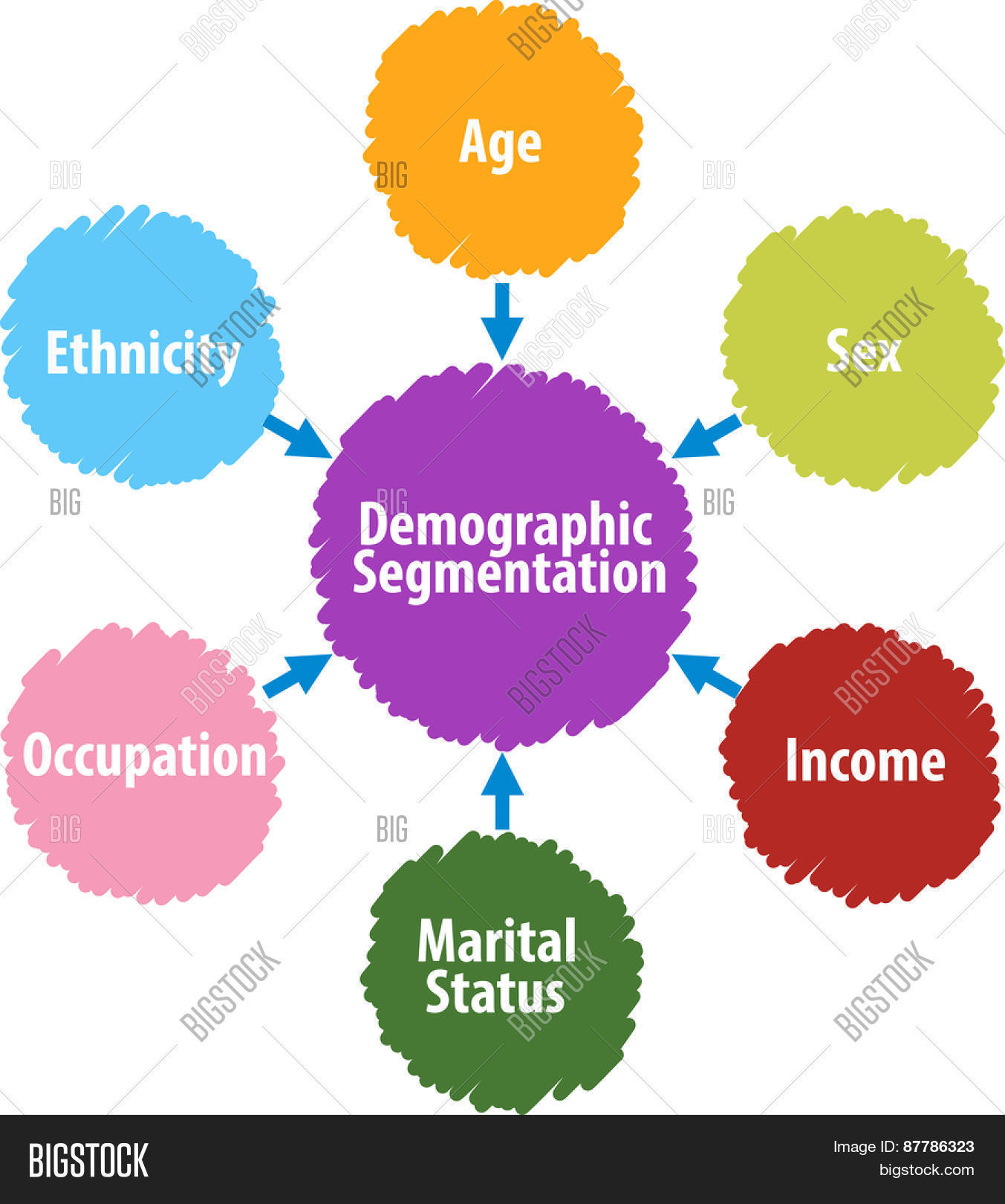 Demographic Segmentation Business Image & Photo | Bigstock