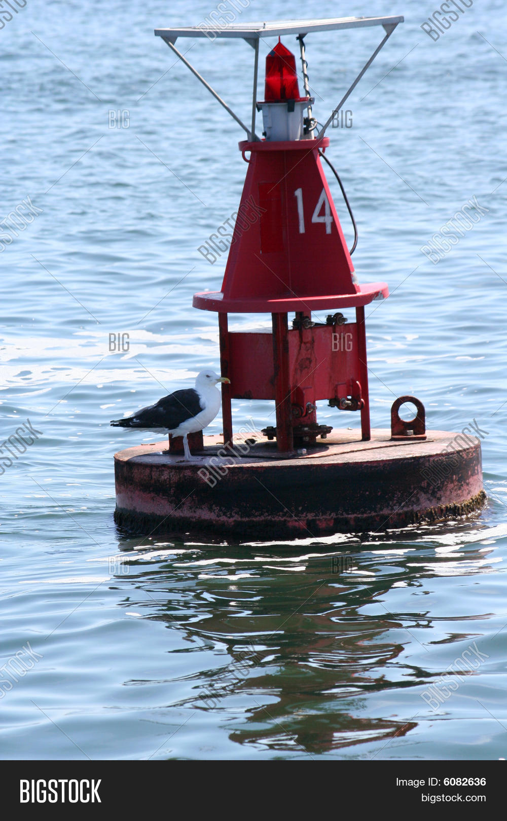 Water Booey Image & Photo | Bigstock