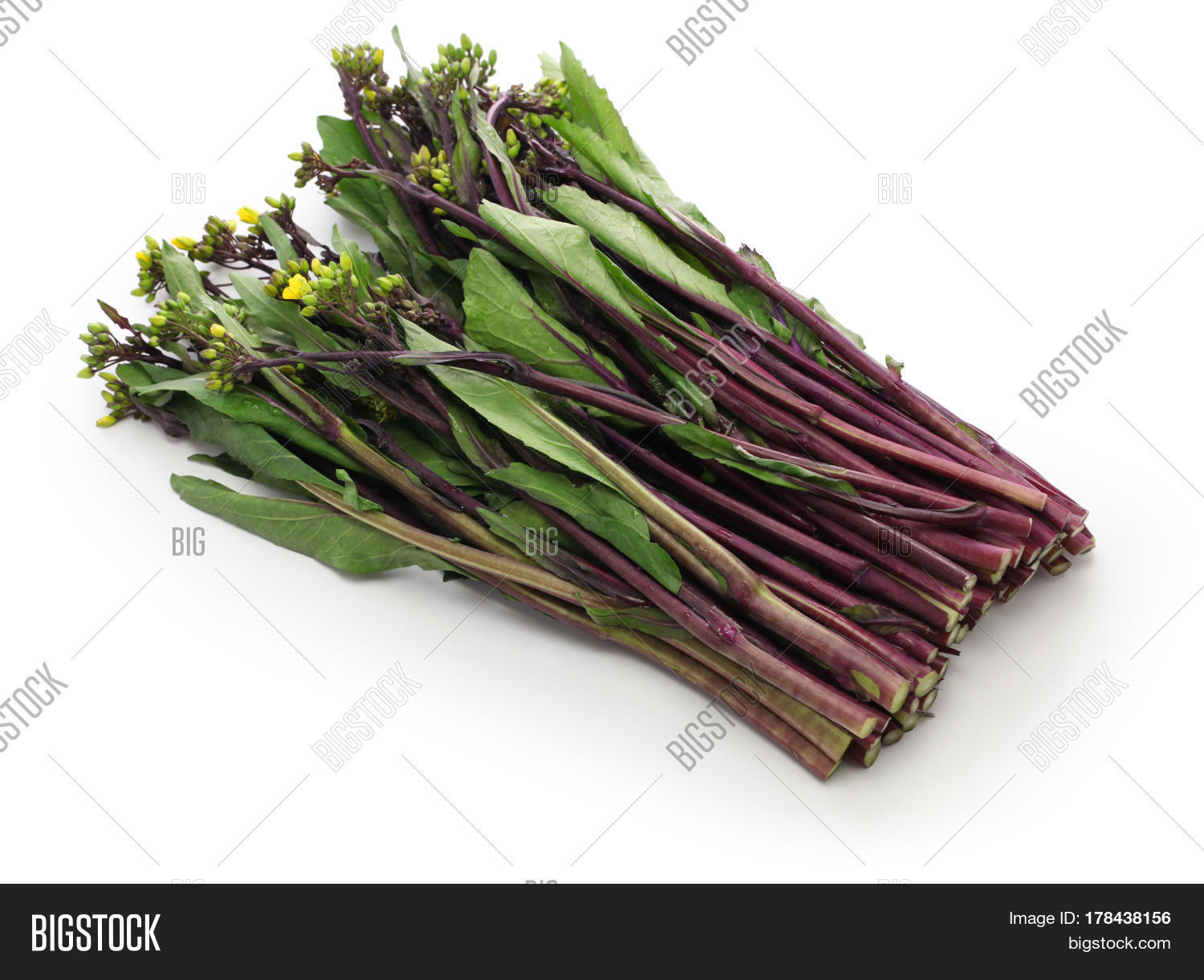 choy sum,koy_大山谷图库