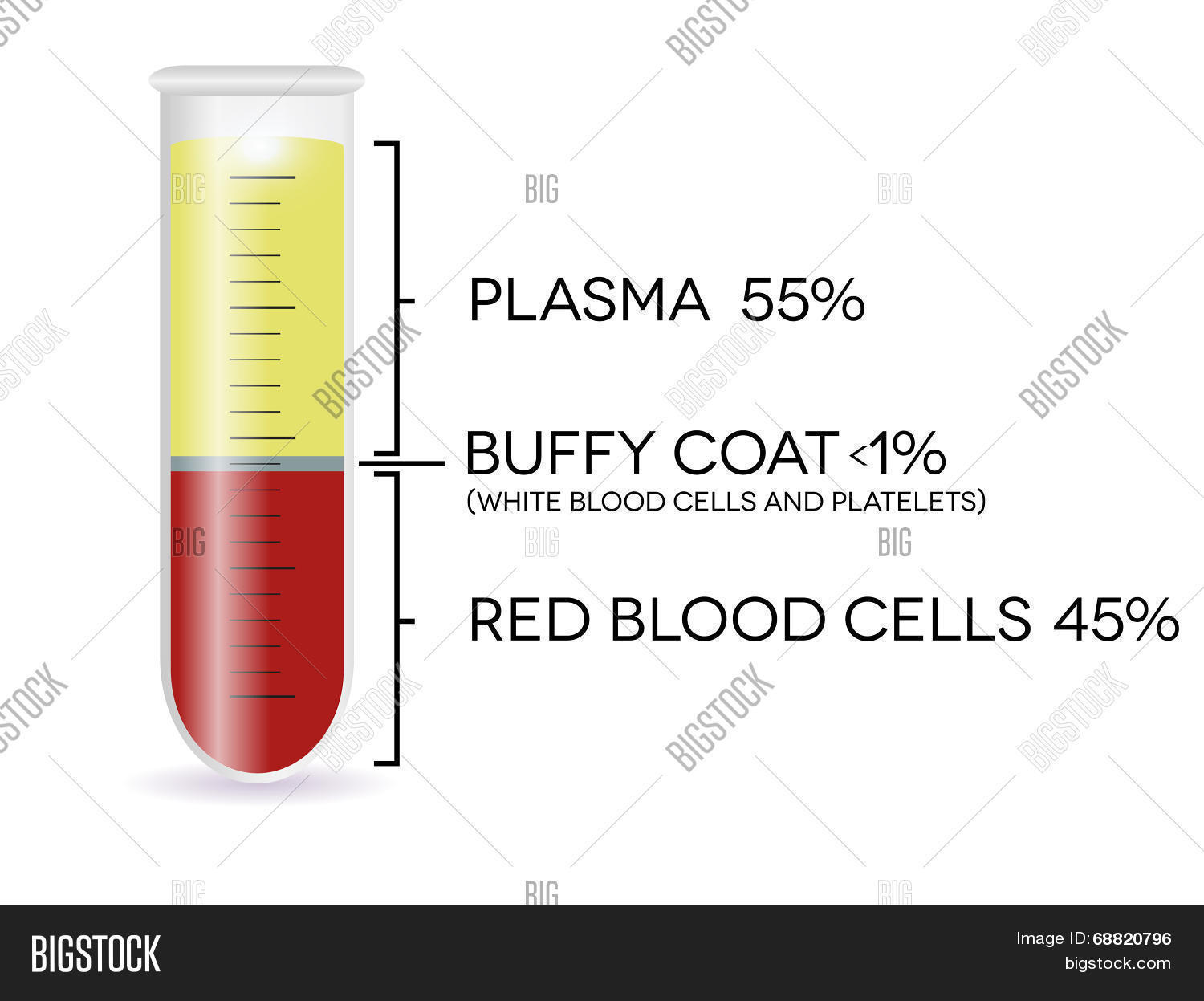 Test Tube Blood Cells, Plasma, Vector & Photo | Bigstock