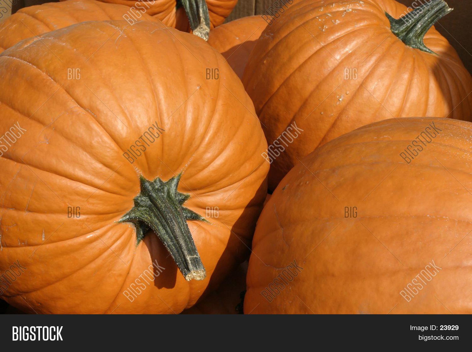 Pumpkins Texture Image & Photo | Bigstock