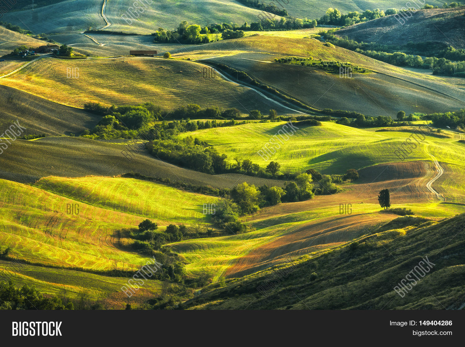 Tuscany rolling hills on misty sunset. Rural landscape. Green fields ...